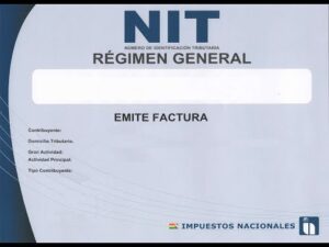 Impuestos Nacionales Requisitos para Sacar Nit Bolivia 2023